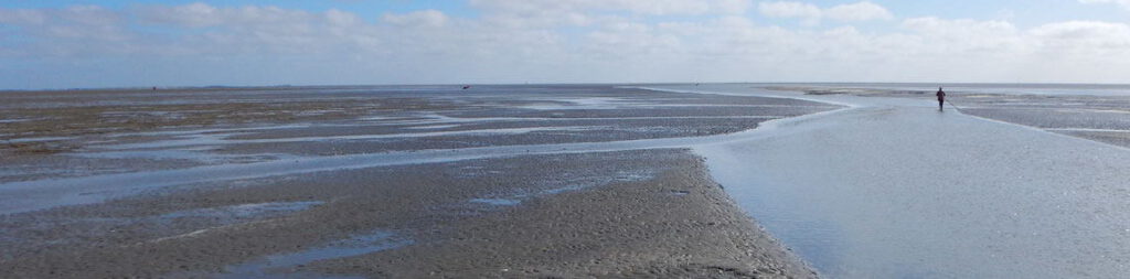 Wadloopgids – Genieten van het Nederlandse wad